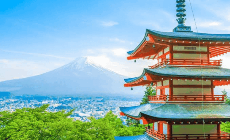 From Tokyo: Mount Fuji Private Day Tour With English Driver - Key Points