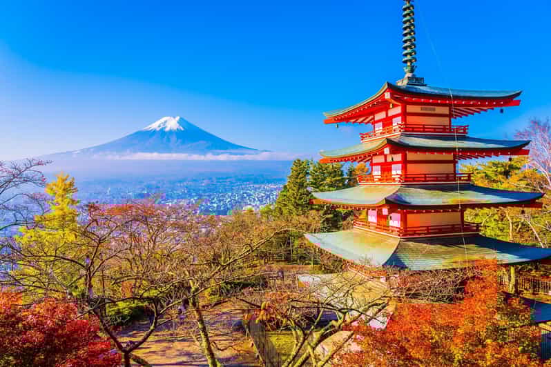 From Tokyo: Mount Fuji Private Day Trip With Driver - Key Points