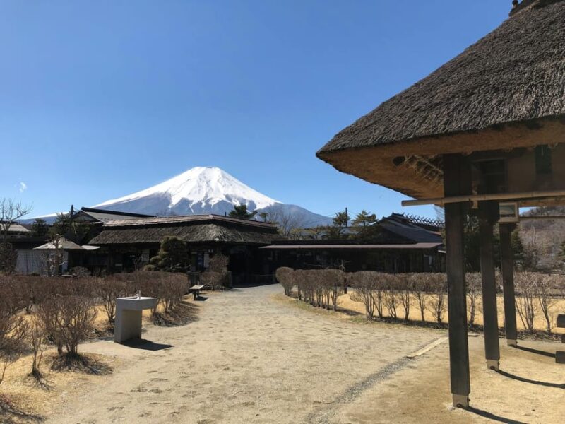 From Tokyo: Mt Fuji Day Trip With English Speaking Chauffeur - Key Points
