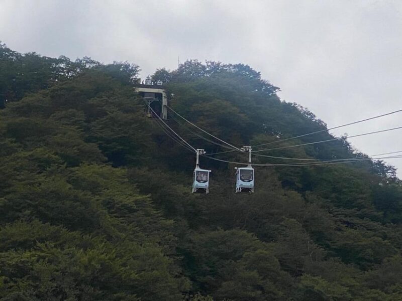 From Tokyo: Nikko Customised Private 1 Day Sightseeing Tour - Customizable Itinerary