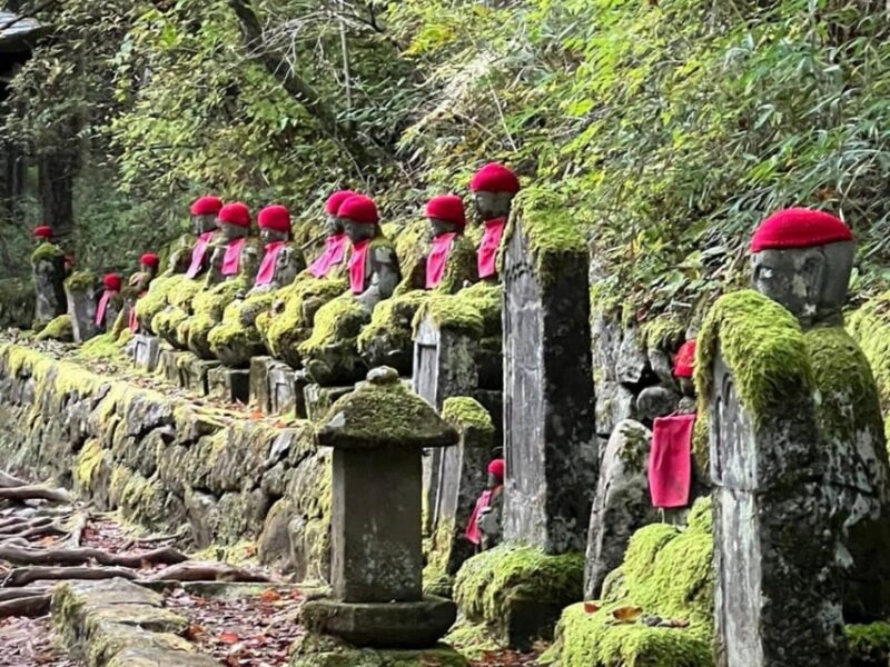 From Tokyo; Nikko Private Full Day Tour Hotel Pick-Up By Car - Tour Booking and Cancellation Policy