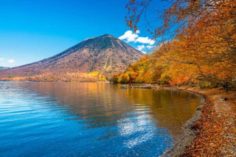 From Tokyo: Nikko Toshogu Day Tour With Traditional Lunch - Key Points
