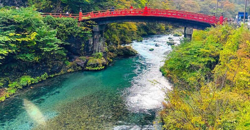 From Tokyo: Nikko World Heritage Sight Private Full Day Tour - Key Points