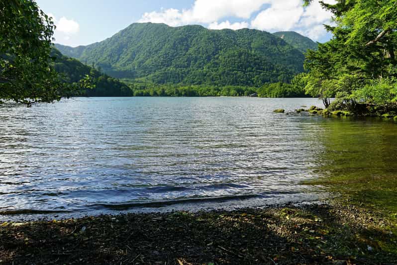 FROM TOKYO: NIKKO WORLD HERITAGE SIGHTS PRIVATE TOUR - Pickup and Transportation