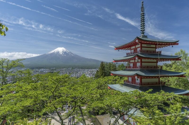 From Tokyo: Private Day Trip to Kawaguchi-ko Lake - Key Points