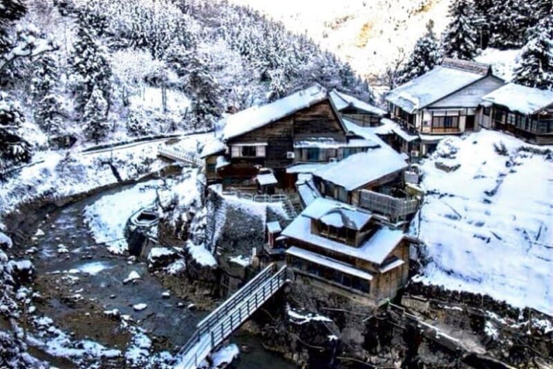 From Tokyo: Snow Monkey & Zenkoji Temple Private Tour - Key Points
