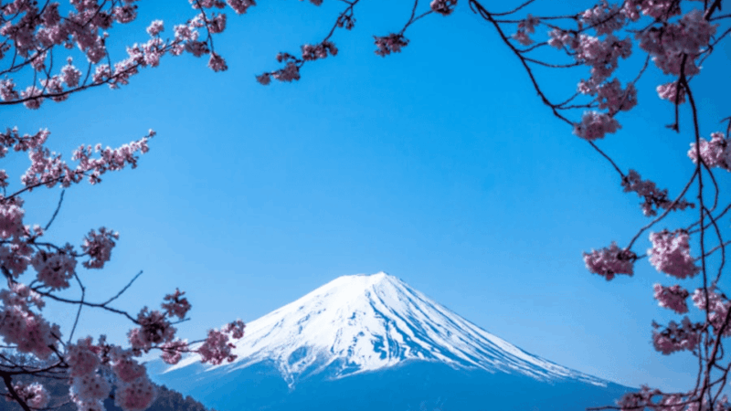 From Tokyo:Hakone One Day Private Tour With English Driver - Transportation