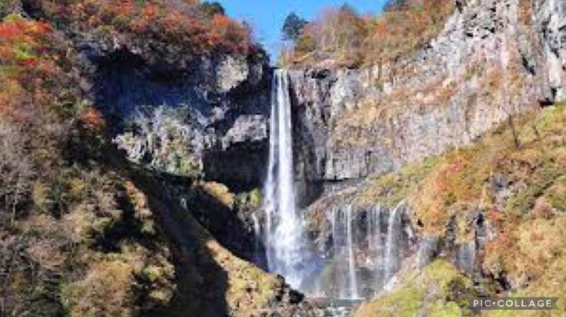 From Tokyo:Nikko Full Day Tour W/Hotel Pickup by Private Car - Tour Overview and Details
