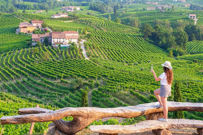 From Venice Wine and Food Tour Review - About Your Stay
