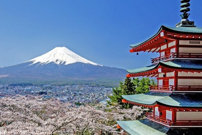 Fuji Speedway Self Drive & Mt. Fuji Private Tour Pickup on LEXUS - Key Points