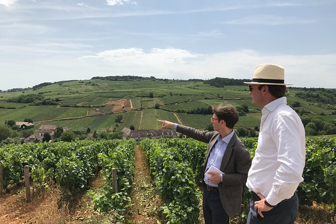 Full Day From Beaune: the Most of Burgundy, With Lunch - About Your Stay
