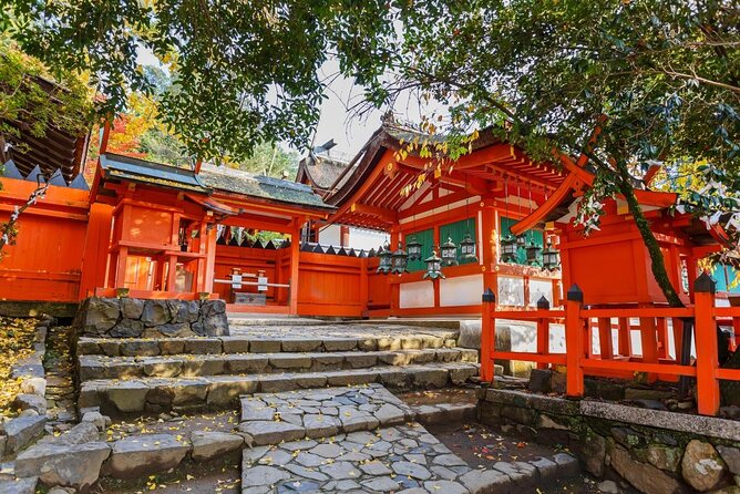 Full Day Guided Tour to Nara From Osaka by Van - Key Points