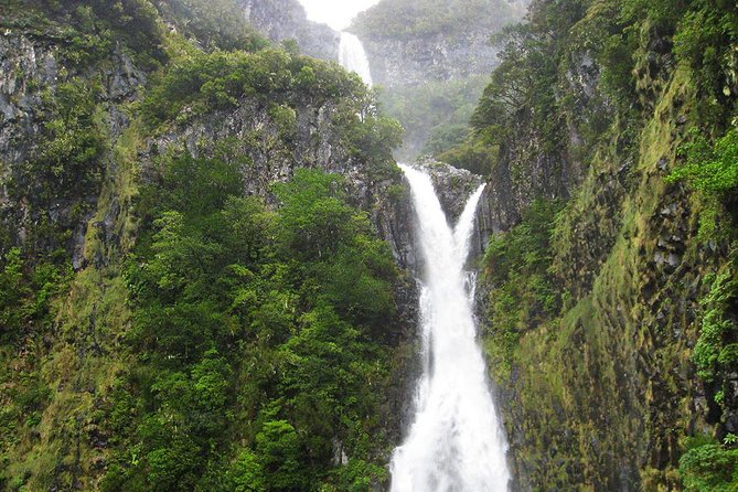 Full-Day Rabaçal Levada Walk From Funchal - Overview of the Rabaçal Levada Walk