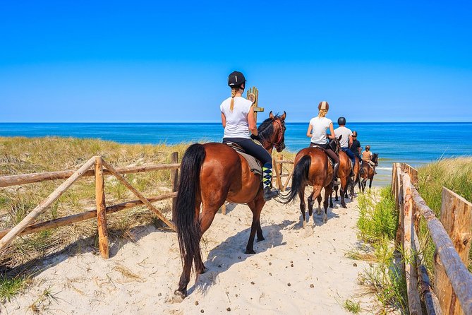 Golden Hour Gallop: Evening Ride in Paros - Key Points