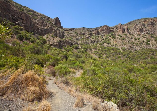 Gran Canaria 7 Beauty Small Group Tour & Cosy Tapas Picnic - Key Points