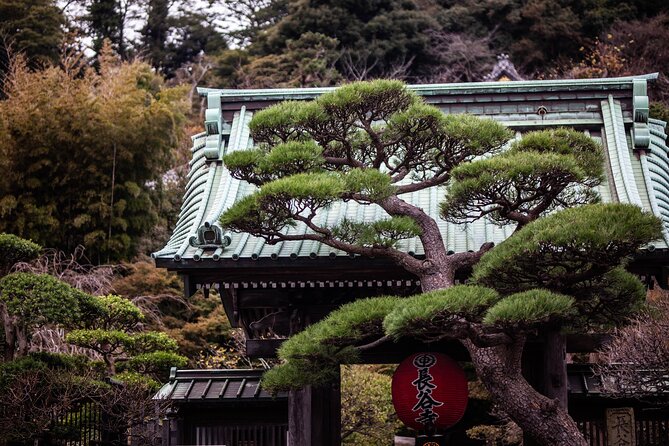 Guided Private Kamakura Tour GREEN NUMBER PLATES - Key Points
