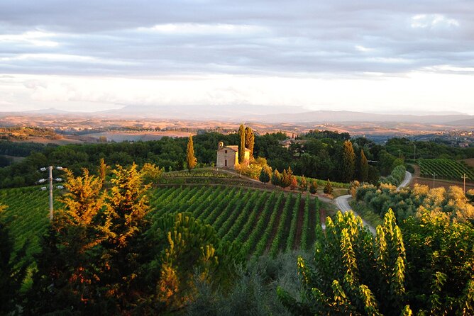 Guided Tour of the Cellars With Wine Tasting and Lunch - Tour Overview and Details