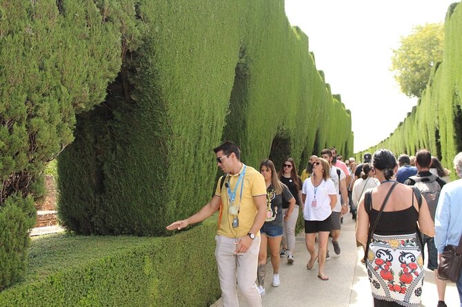 Guided Visit to the Alhambra, Nasrid Palaces and Generalife - Highlights of the Alhambra Experience