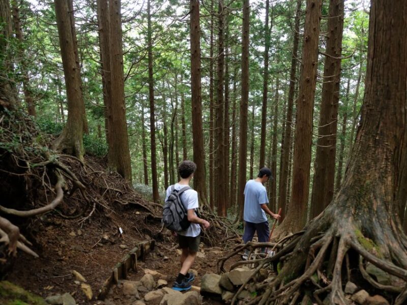Hakone: Traverse the Hakone Caldera and Enjoy Onsen - Exploring the Hakone Mountains