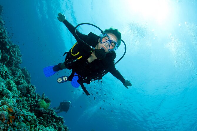 Half Day Boat Diving Experience for Beginners in Kos Greece - About Your Stay