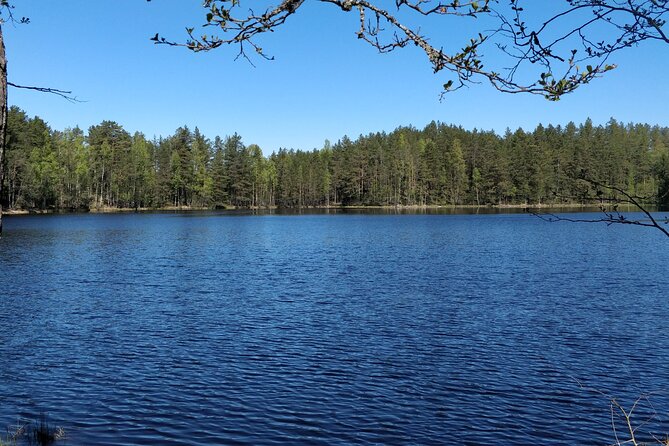 Half Day Hiking Tour in Beautiful Estonian Nature - Inclusions
