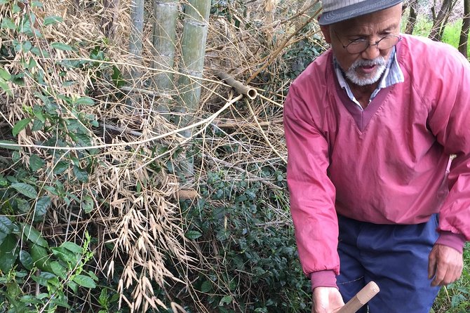 Harvest Experience (Rural Cuisine Using Seasonal Vegetables) - Key Points