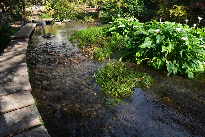 Hike Hakone Hachiri - Key Points