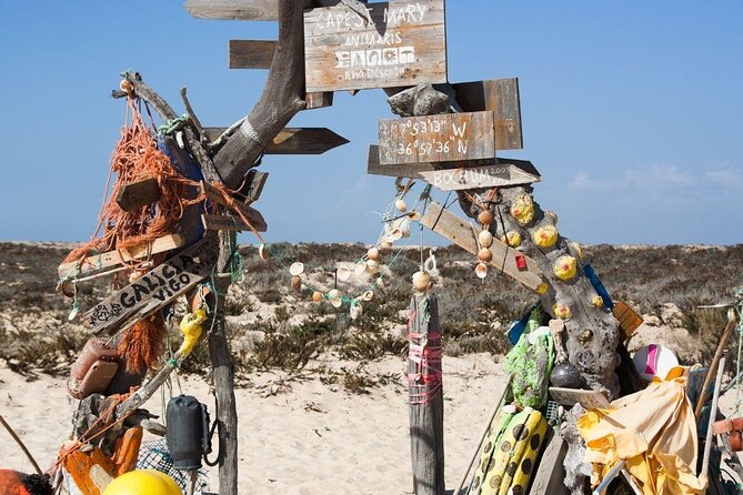Hop On Hop Off 3 Islands: Deserta, Farol and Culatra - Key Points