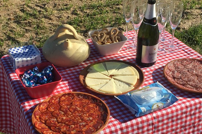 Hot Air Balloon Ride in Segovia With Toast, Picnic and Video - Overview of the Hot Air Balloon Experience in Segovia