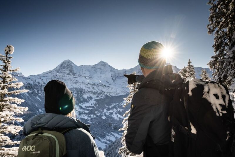 Interlaken: Guided Sledging Adventure - Key Points