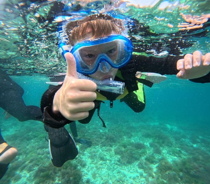 Iriomote Mangrove River Canoe and Snorkeling at Coral Island - Key Points