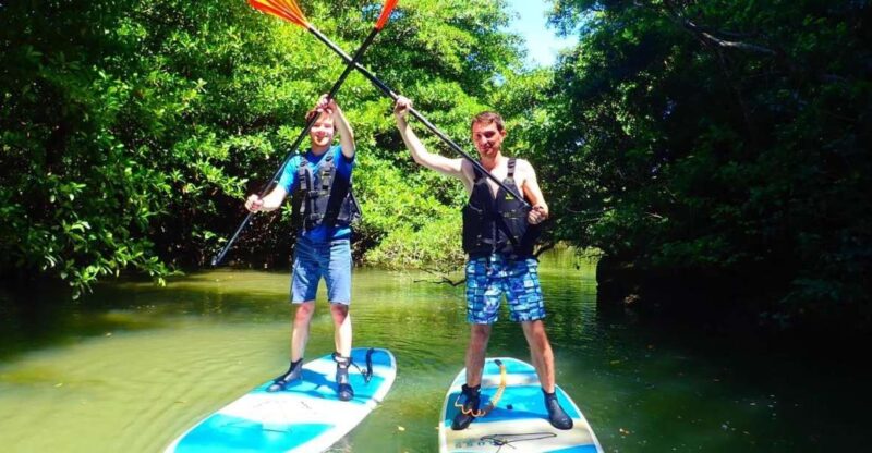 Ishigaki Island: SUP/Kayaking and Snorkeling at Blue Cave - Key Points