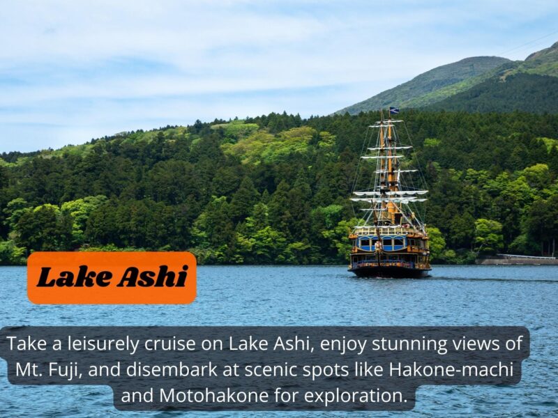 Japan: Private 3, 5, 7, or 10-DAY Tour With Driver - Driver and Accessibility