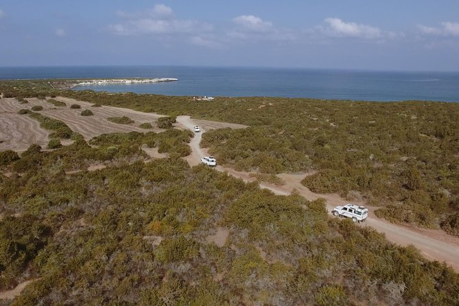 Jeep Safari Akamas From Paphos - Key Points