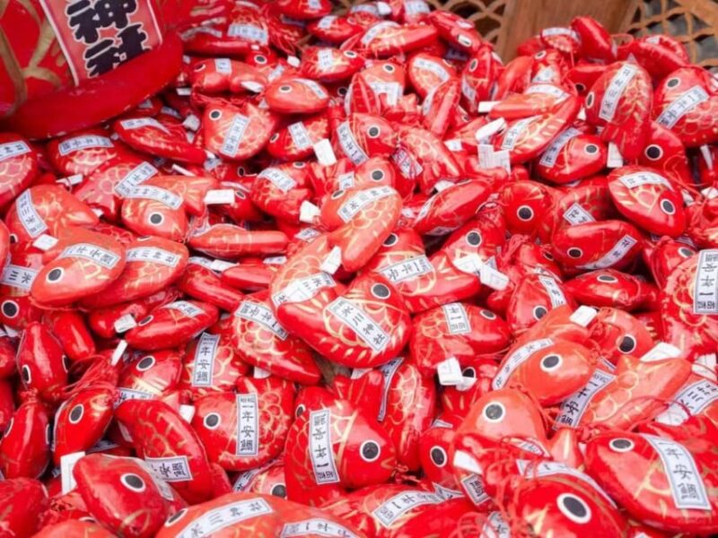 Kanto 10-Hour Chartered Day Trip｜ Kawagoe - Key Points