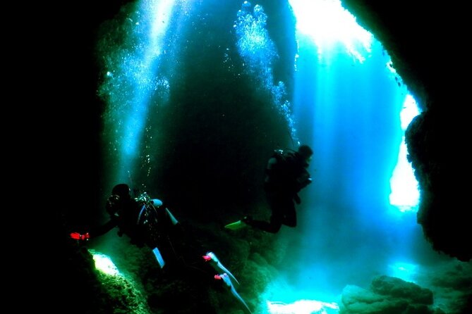 Kerama Islands Experience Dive/Snorkeling/Whale Watching Service - Key Points