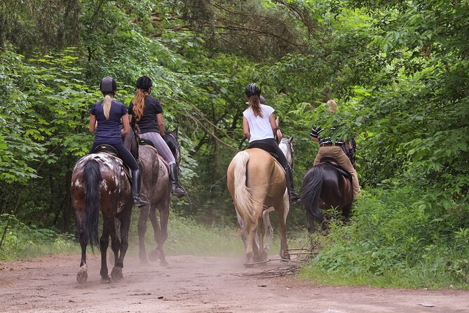 Kusadasi Horse Riding Beach and Forest With Transfer - Key Points