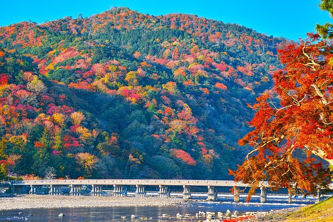 Kyoto Arashiyama: Fall Foliage Walking Tour【Autumns Limited】 - Key Points