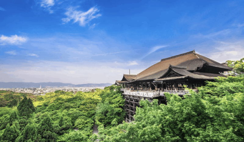 Kyoto: Fully-Customized One-day Private Tour - Key Points