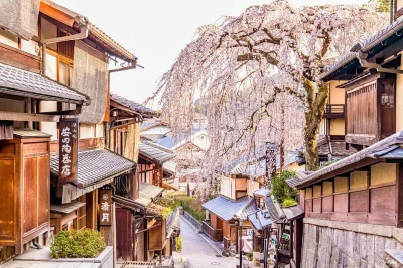 KYOTO: OSAKA/NARA/Private Customized Tour With Hotel Pickup - Key Points