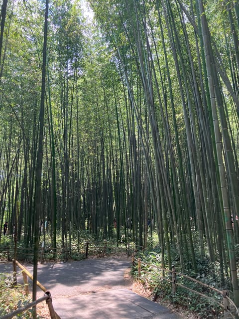 Kyoto: Private Car Tour - Fushimi Inari & Bamboo Grove - Key Points