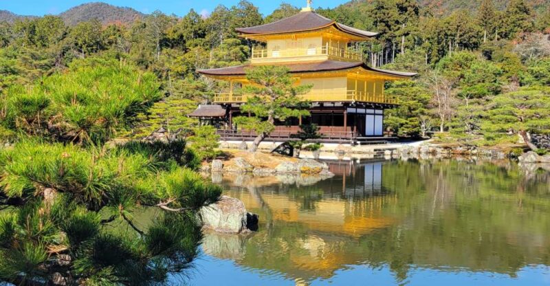 Kyoto: Private Walking Tour With Government Certified Guide - Key Points