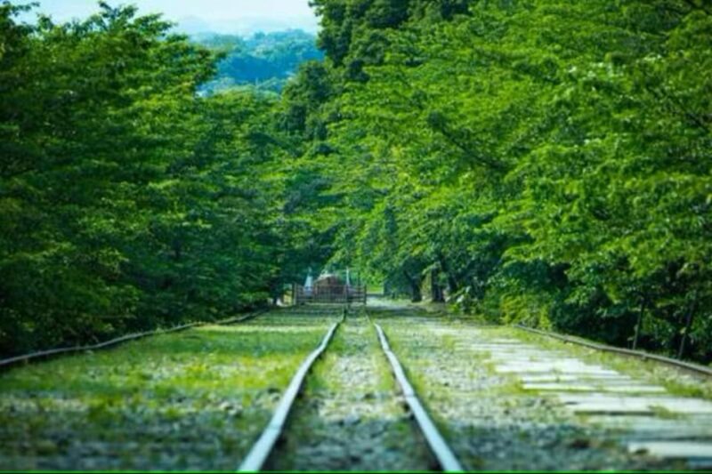 KYOTO: Sophisticated Harmony Journey: 4 Calming Scenes - Key Points