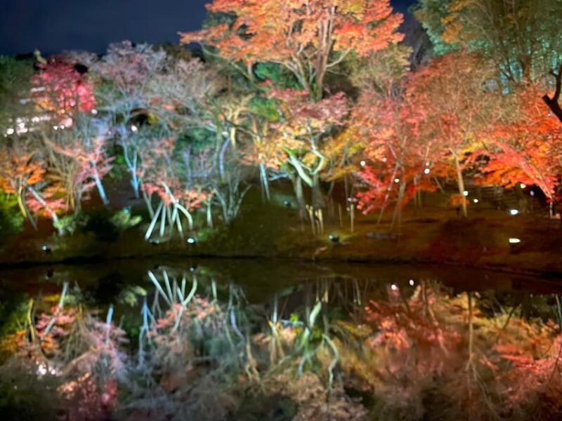 Kyoto's Timeless Charm: 3hr Exploration of History and Peace - Key Points