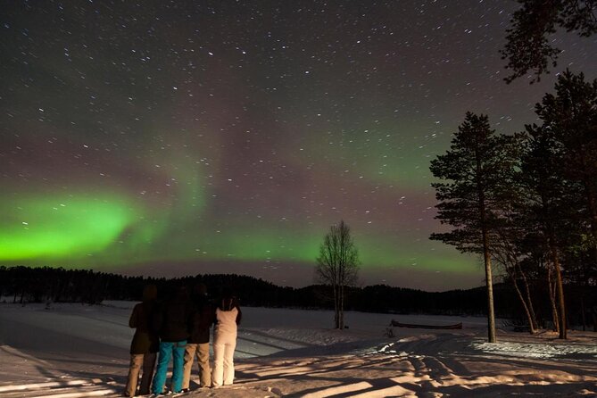 Lapland Reindeer Safari From Saariselkä - Key Points