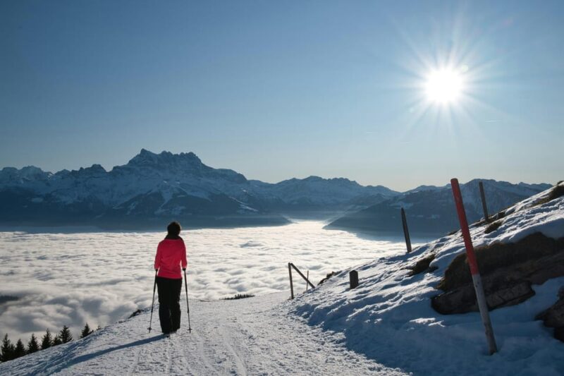Lucerne: Snowshoe Hiking Adventure to Glaubenberg Langis - Key Points