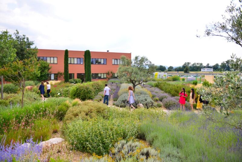 Manosque: L'Occitane in Provence Guided Factory Tour - Key Points