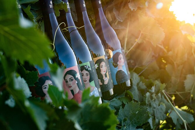 Marsala Tasting of 5 Sicilian Organic Wines - Key Points