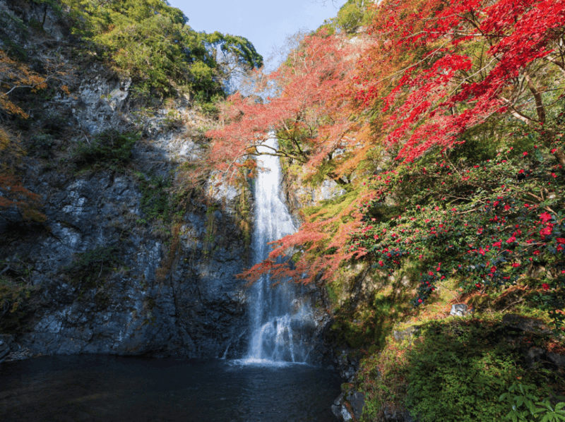 Minoo Park: Guided Nature Walk - Historic Sites and Attractions