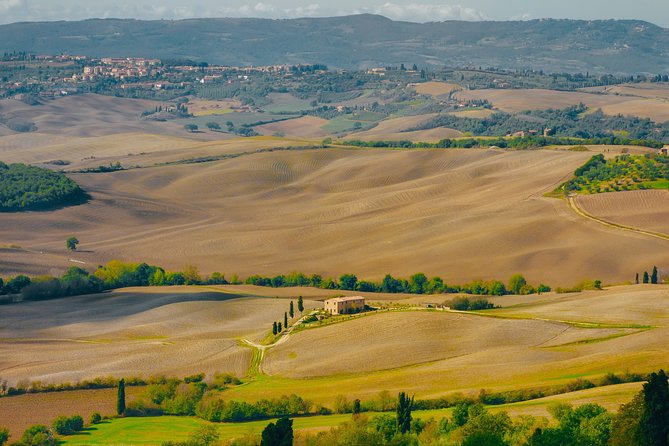 Montepulciano: Wine Tasting & Lunch in a Typical Winery - About Your Stay